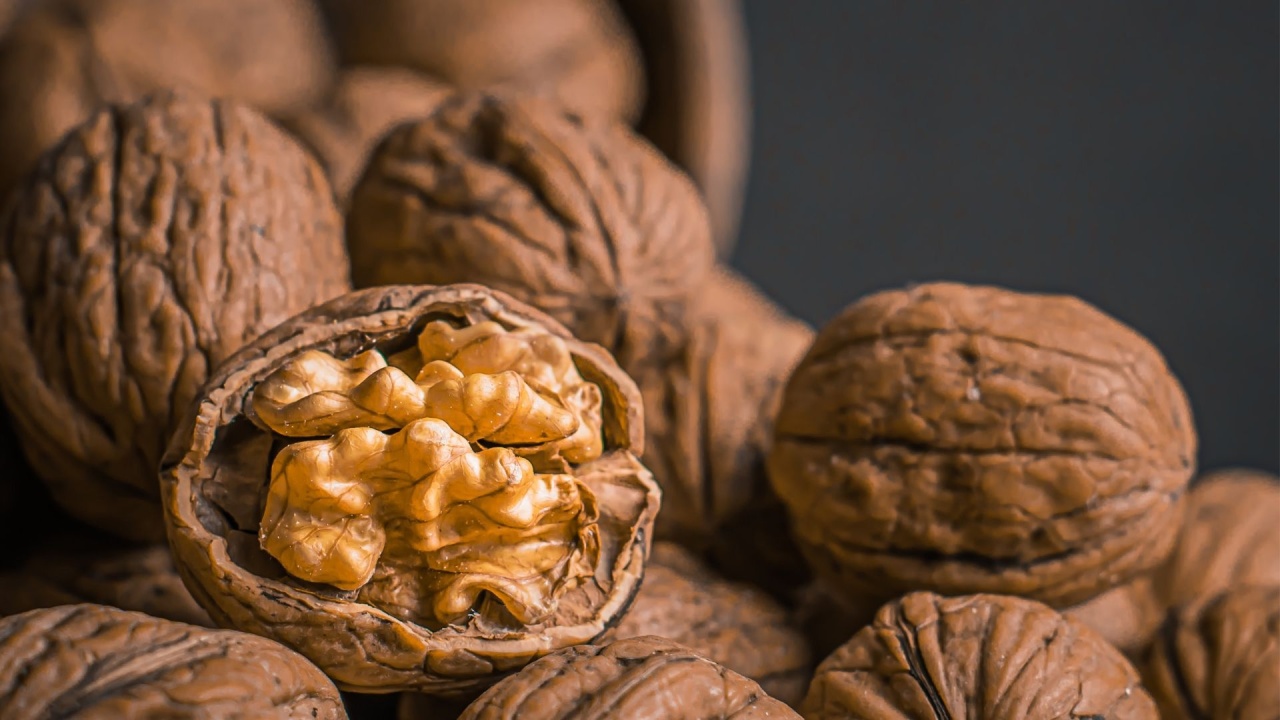 Il Noce, pianta del cambiamento